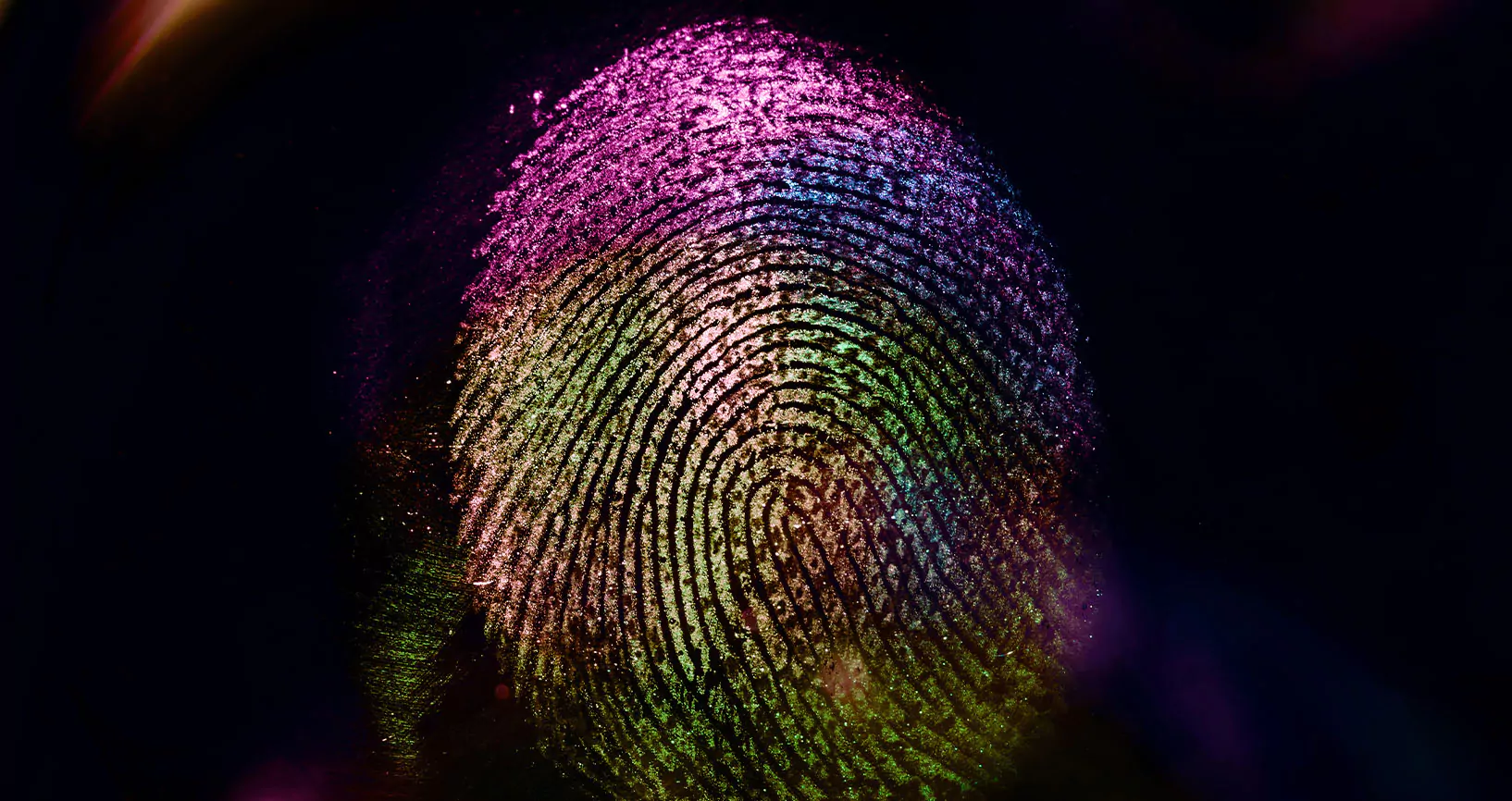 Real-Time, AI-Powered Fraud Detection Software | Siron One